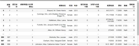 Datawhale 动手学数据分析 第一章：数据载入及初步观察泰坦尼克的任务什么是逐块读取为什么要逐块读取呢 Csdn博客