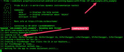 Bypass Mtls Flutter Incogbyte ⚔️ 🚩