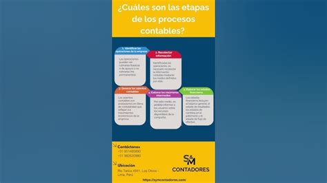 Fases Del Proceso Contable Youtube Tratamiento Informatico Del Proceso