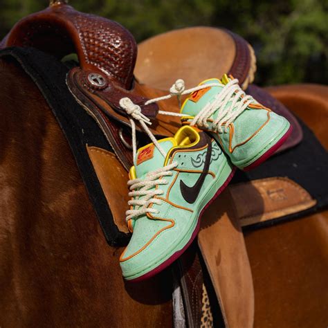 Nike Sb Dunk Low Pro Rodeo Drift House