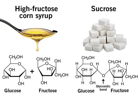 Corn Syrup Def At Megan Blackmon Blog