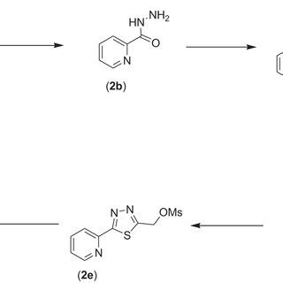 Synthesis Of Amidoxime Core Intermediate Conditions TES Cl DMAP Download Scientific