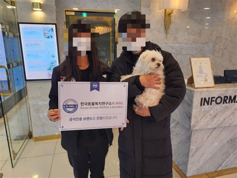 말티즈 레이 토이브리티쉬숏헤어입양 토이스코티쉬폴드입양 토이러시안블루입양 토이강아지입양 토이고양이입양 오드아이먼치킨무료분양 오드아이랙돌무료분양 오드아이브리티쉬숏헤어무료분양