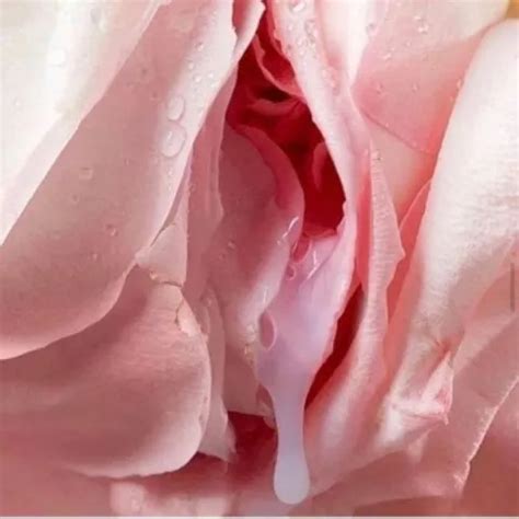 Kim Hee Jung Beauty Ass Porn Xhamster