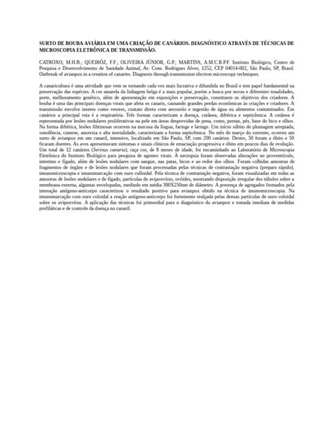 Resumo Raib 2017 Catroxo Pdf