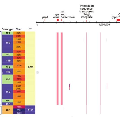 Phylogenic Tree And Recombination Sites Of 24 Streptococcus Pneumoniae Download Scientific