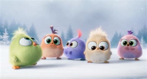 Hatchlings Angry Birds Wiki Fandom Powered By Wikia