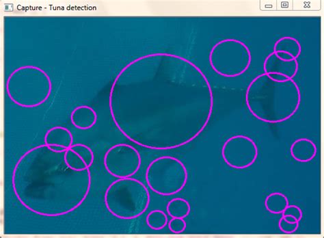 Problems With Cascadeclassifier Detection False Positives Opencv Qanda