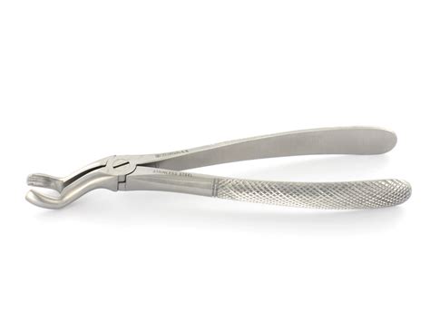 Pinza Per Estrazione Dentale Per Mascella Superiore 185 Cm Denti Del