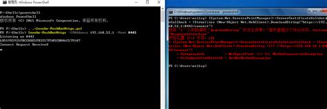 Nishang之花样shell Evi1cgs Blog