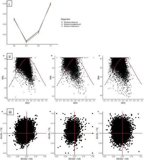 The Relation Between The Synonymous Third Codon Position A3 T3 C3