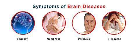 Brain Diseases Its Types Causes Symptoms And Diagnosis