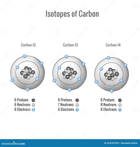 Carbon Isotopes Atom Structure Cartoon Vector CartoonDealer Com