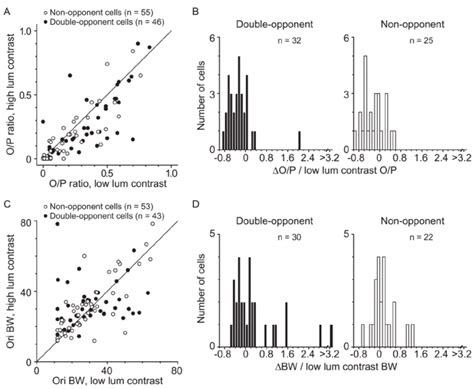 Orientation Selectivitys Dependence On Contrast Comparisons Of Op