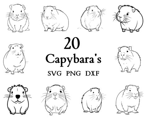 Capybara Svg Bundle Capybara Svg Cut Files For Cricut And Etsy