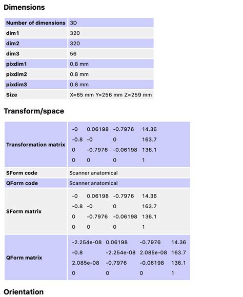 sct run batch with manual segmentation location error sct