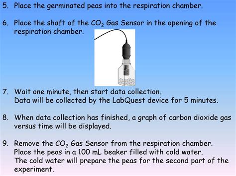 Cell Respiration LabQuest Activity B Ppt Download