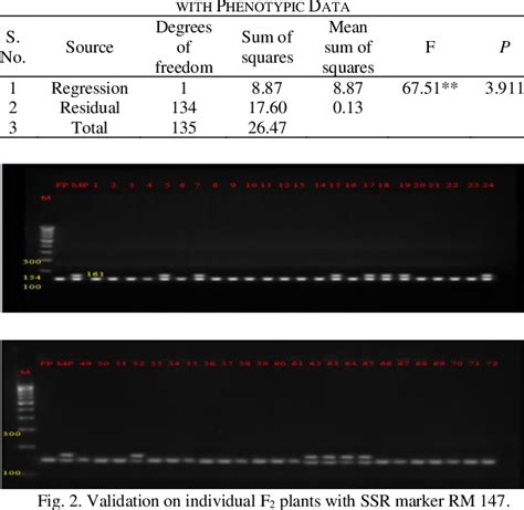 Anova For Regression Analysis For Ssr Marker Rm147 Download