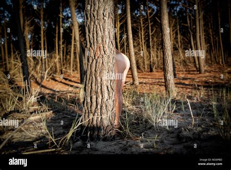 Bottom And Legs Of A Naked Woman Hidden Behind A Tree Stock Photo Alamy