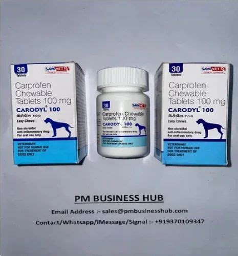 Carprofen Chewable Tablets 100 Mg Savavet At ₹ 2500 In Nagpur Id 2852774419512