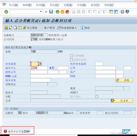 sap 凭证校验与替代 实例 sap ob28 csdn博客