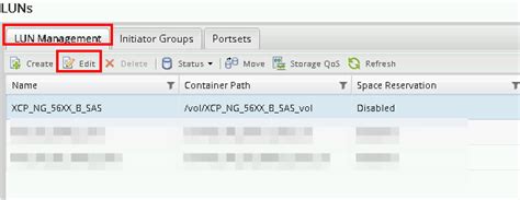 xenserver connecting iscsi sr netapp storage the lazy admin blog