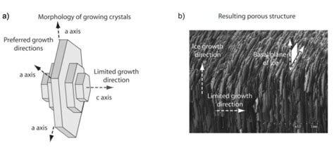 A Schematic Diagram Of Hexagonal Structure Of Ice Showing Download Scientific Diagram