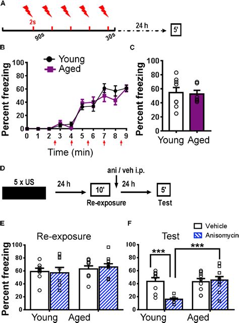 Figure 1 From Multi Input Synapses But Not Ltp Strengthened Synapses