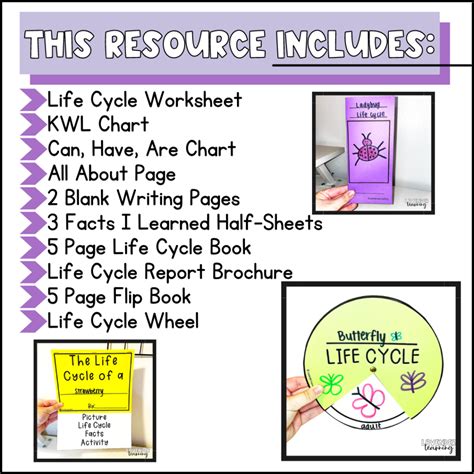 Life Cycles Project Life Cycles Research Templates Life Cycle Science Project Made By Teachers