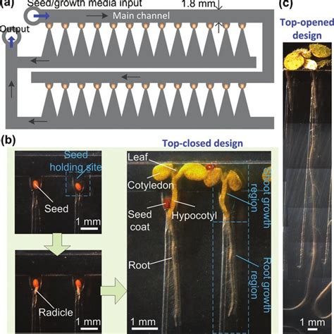 A Schematic Of The Plant Chip For High Throughput Plant Phenotyping