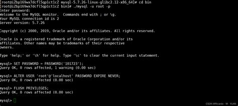 从零搭建阿里云服务器（linux安装mysql5 7）图文详解 阿里云服务器安装mysql5 7 csdn博客