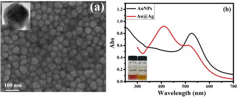 A Sem Image Of As Prepared Auag Core Shell Nanoparticles The Inset