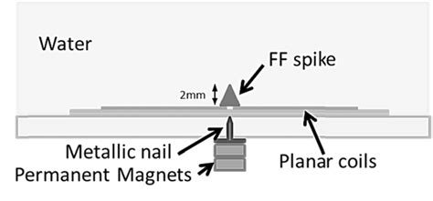 A Schematization Of The Setup Used To Generate The Spike B And C Download Scientific