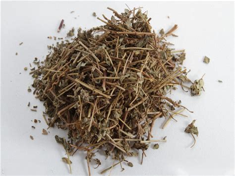 地锦草的简介、功效与作用及用法用量 中华康网
