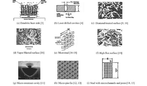 Surface Microstructures Download Scientific Diagram