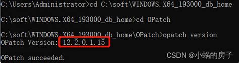 Windows Server 2019安装oracle 19c单机数据库【图文详解】winserver2019安装oracle19c Csdn博客