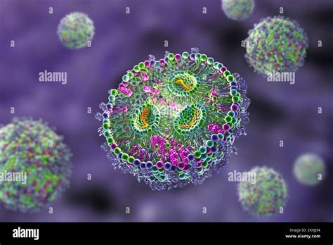 Lipid Nanoparticle MRNA Vaccine Illustration Stock Photo Alamy