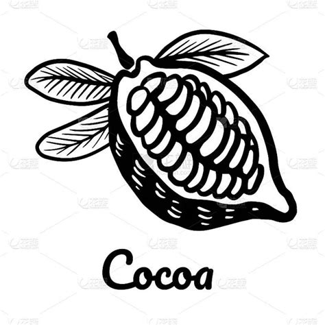 可可果。素材 花瓣网