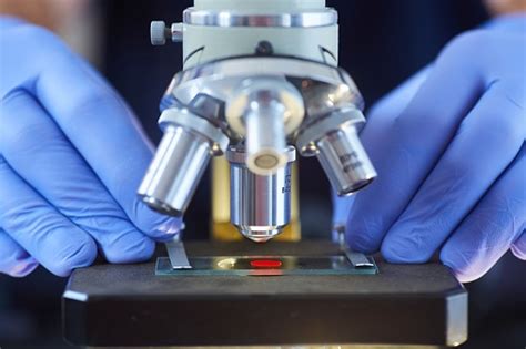 의학 과학 또는 화학 분야의 실험실 및 실험실 연구용 현미경 Stem 주제에 대한 스톡 사진 및 기타 이미지 Stem 주제 개발 건강관리와 의술 Istock