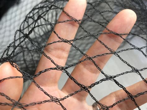 Bird Mist Nets For Catching Birds From China Manufacturer 100 Hdpe Plastic Mesh Manufacturer