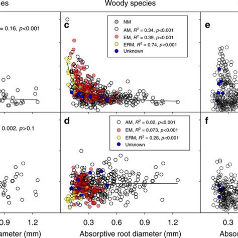 nonlinear root trait relationships allometric root structure derived