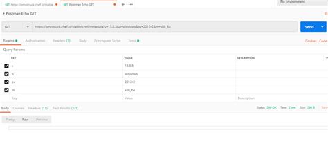 Metadata Endpoint Intermittently Returning Empty Body · Issue 414 · Chefomnitruck · Github