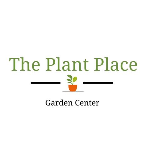 Brunnera Macrophylla ‘jack Frost Is A Stunner In The Shade This Beauty Has Heart Shaped