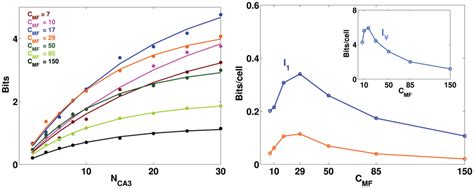 A Sparse Mf Connectivity Is Optimal But Not Too Sparse Left Download Scientific Diagram