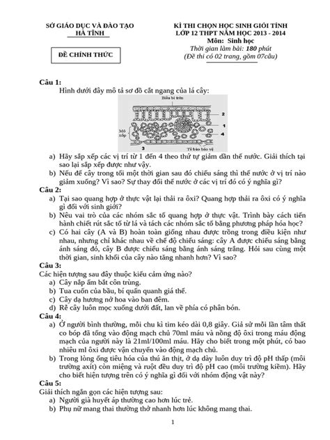 De Va Dap An HSG Sinh 11 Tinh Ha Tinh 20132014 | PDF