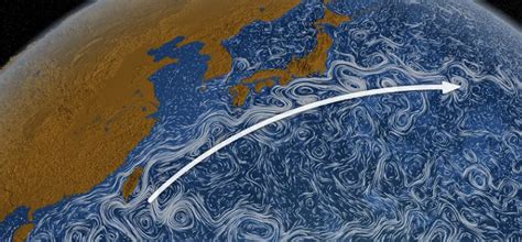 Large Scale Surface Currents In The Oceans