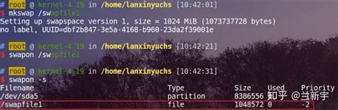Linux中的Anonymous Pages和Swap 一 知乎