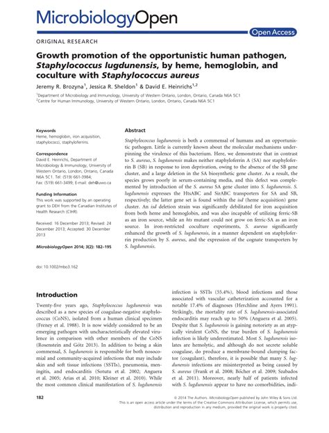 Pdf Growth Promotion Of The Opportunistic Human Pathogen Staphylococcus Lugdunensis By Heme