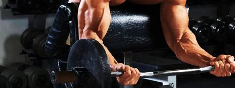 Най ефективните упражнения за бицепс — Workout Bg