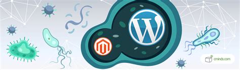 best practices for integrating wordpress and magento in 2025